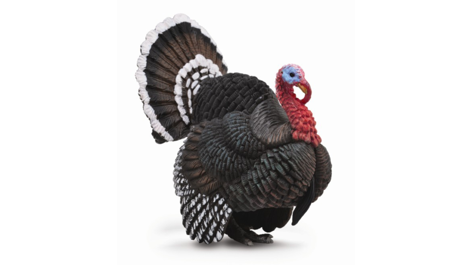 CollectA Turkey Animal Figurine - Large | Harvey Norman