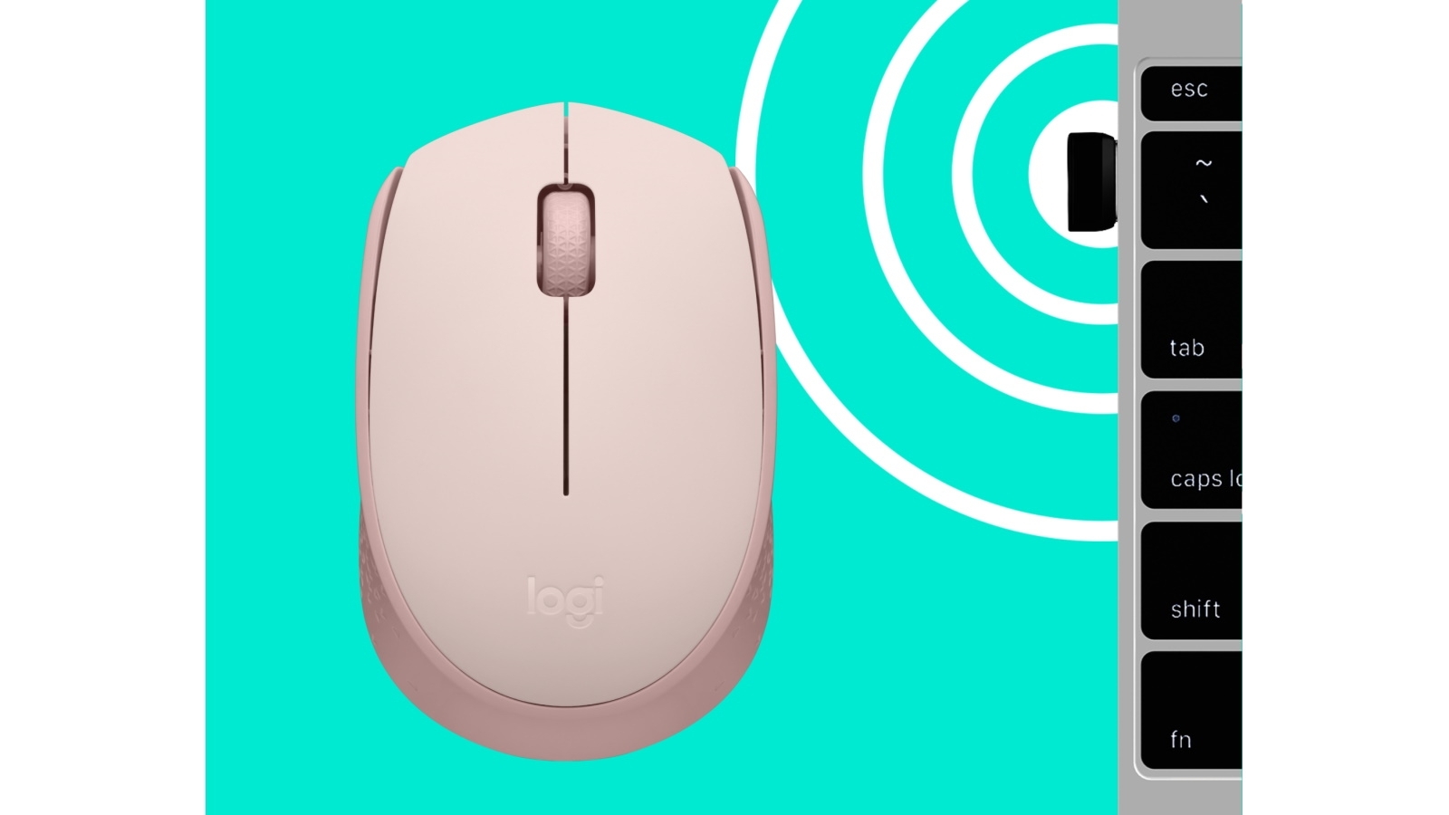M171 Wireless Mouse - Rose | Harvey Norman