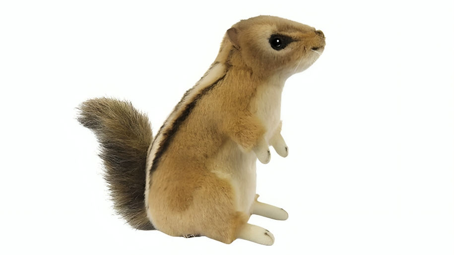 Latest Buys Chipmunk Plush Toy - 8cm | Harvey Norman