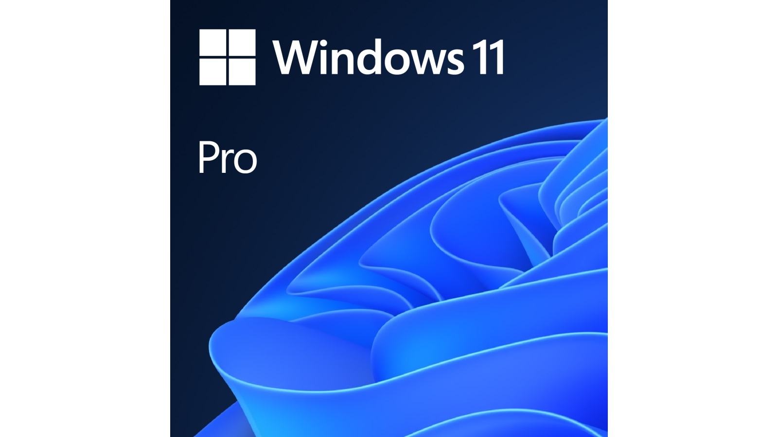 Microsoft Windows 11 Pro Digital Download | Harvey Norman
