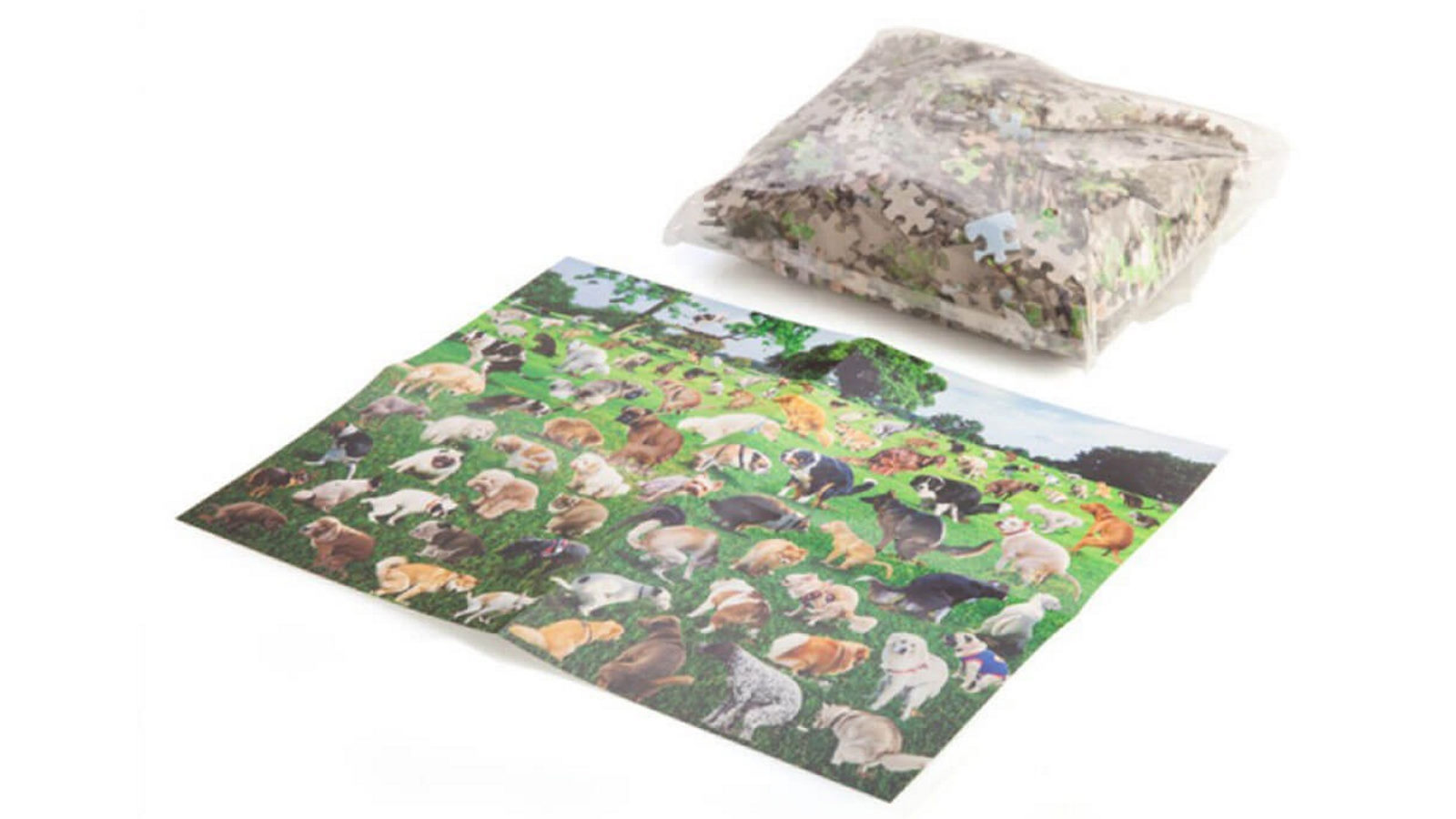 101 Pooping Puppies Jigsaw 1000 Piece Puzzle | Harvey Norman