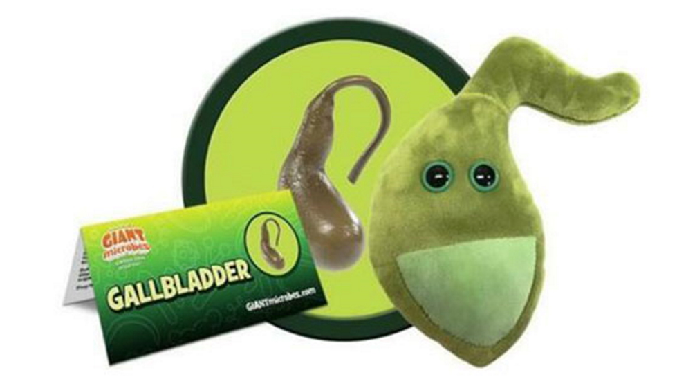 GIANTmicrobes Gallbladder Plush Toy | Harvey Norman