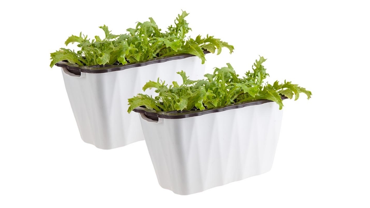 Soga Small White Rectangular Planter - Set of 2 | Harvey Norman