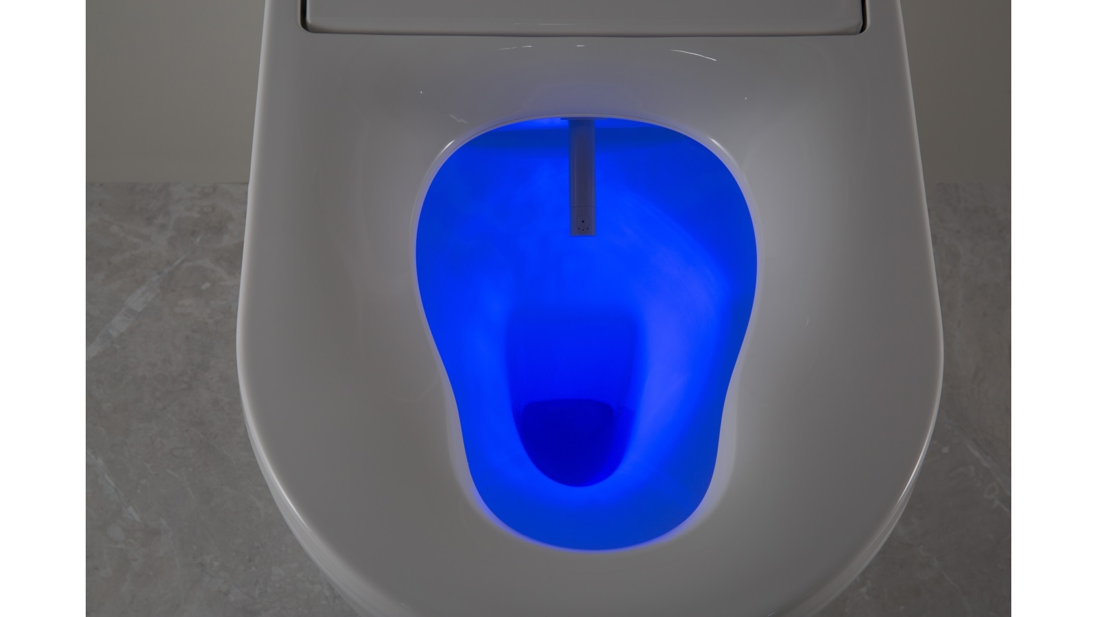 Argent Evo Wall Hung Smart Toilet System with Argent Inwall Cistern ...