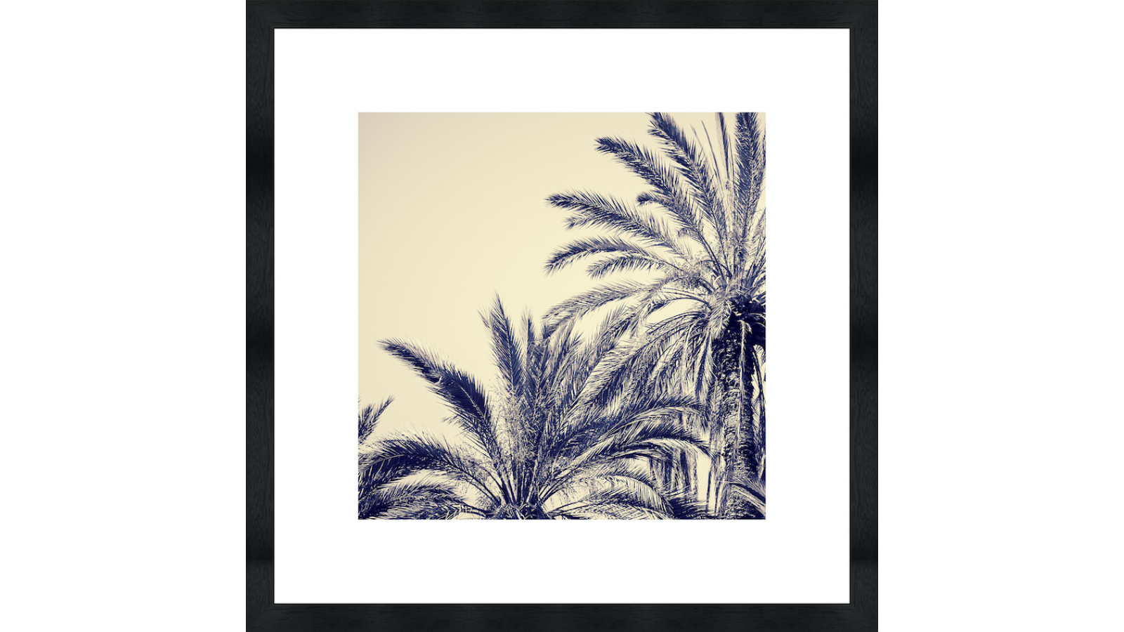 Date Palm I Framed Wall Art - Large | Harvey Norman