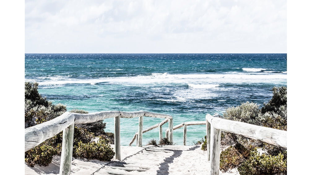 Rottnest Island Wall Art - Small | Harvey Norman