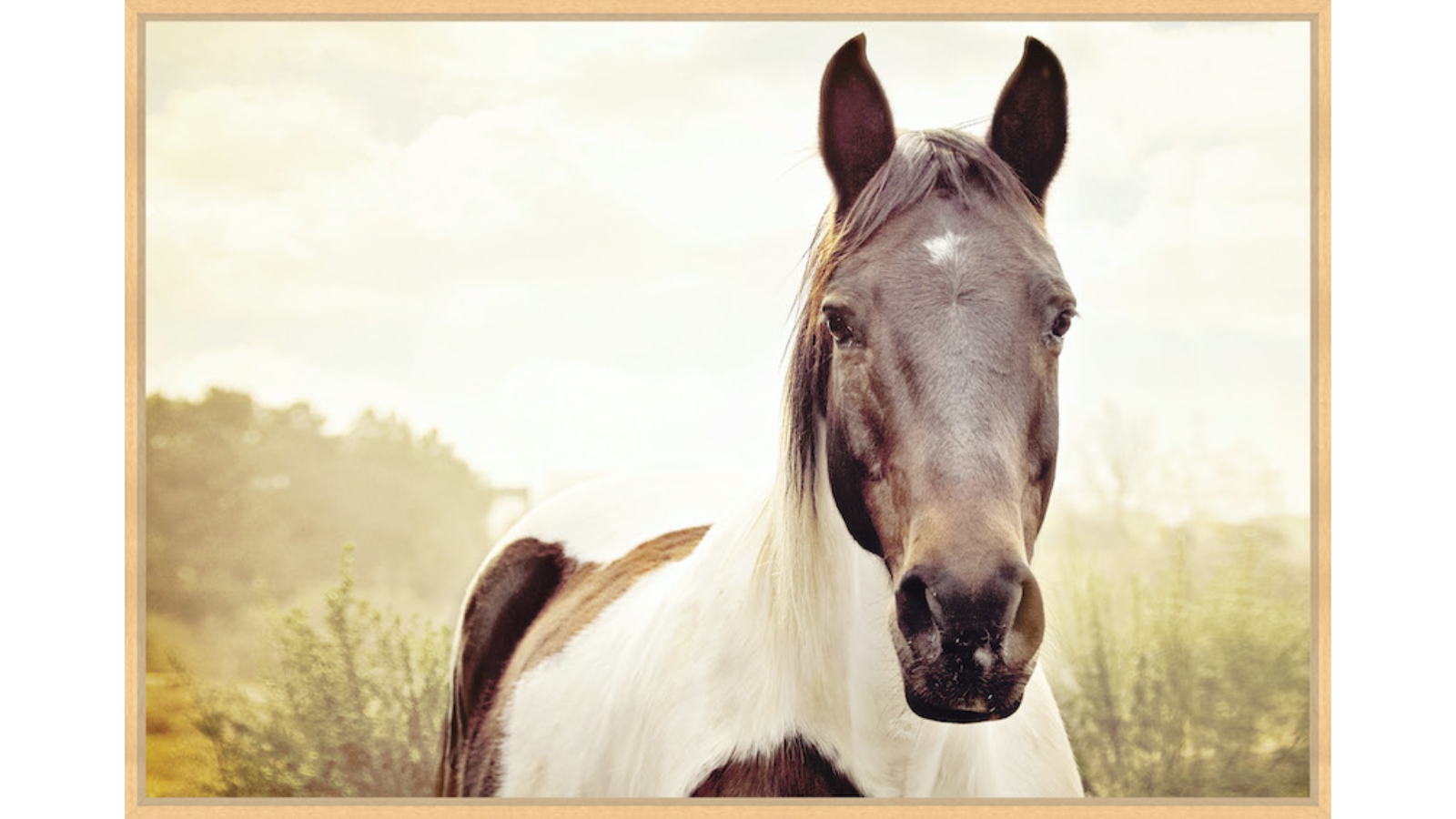 Spirit Wall Art - Large | Harvey Norman