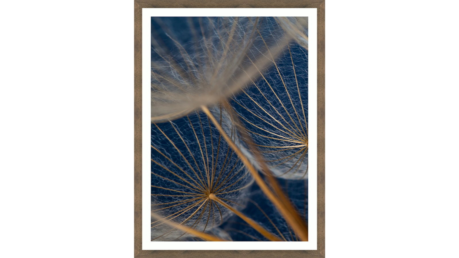 Macro Botanical Camouflage Framed Wall Art III - Large | Harvey Norman