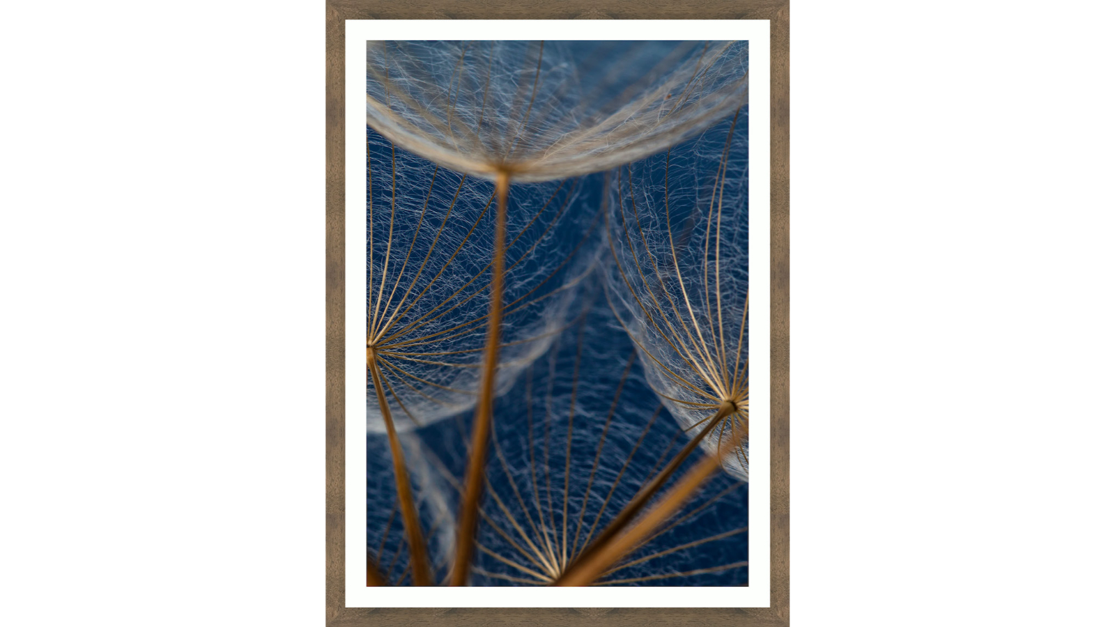 Macro Botanical Camouflage Framed Wall Art IV - Large | Harvey Norman