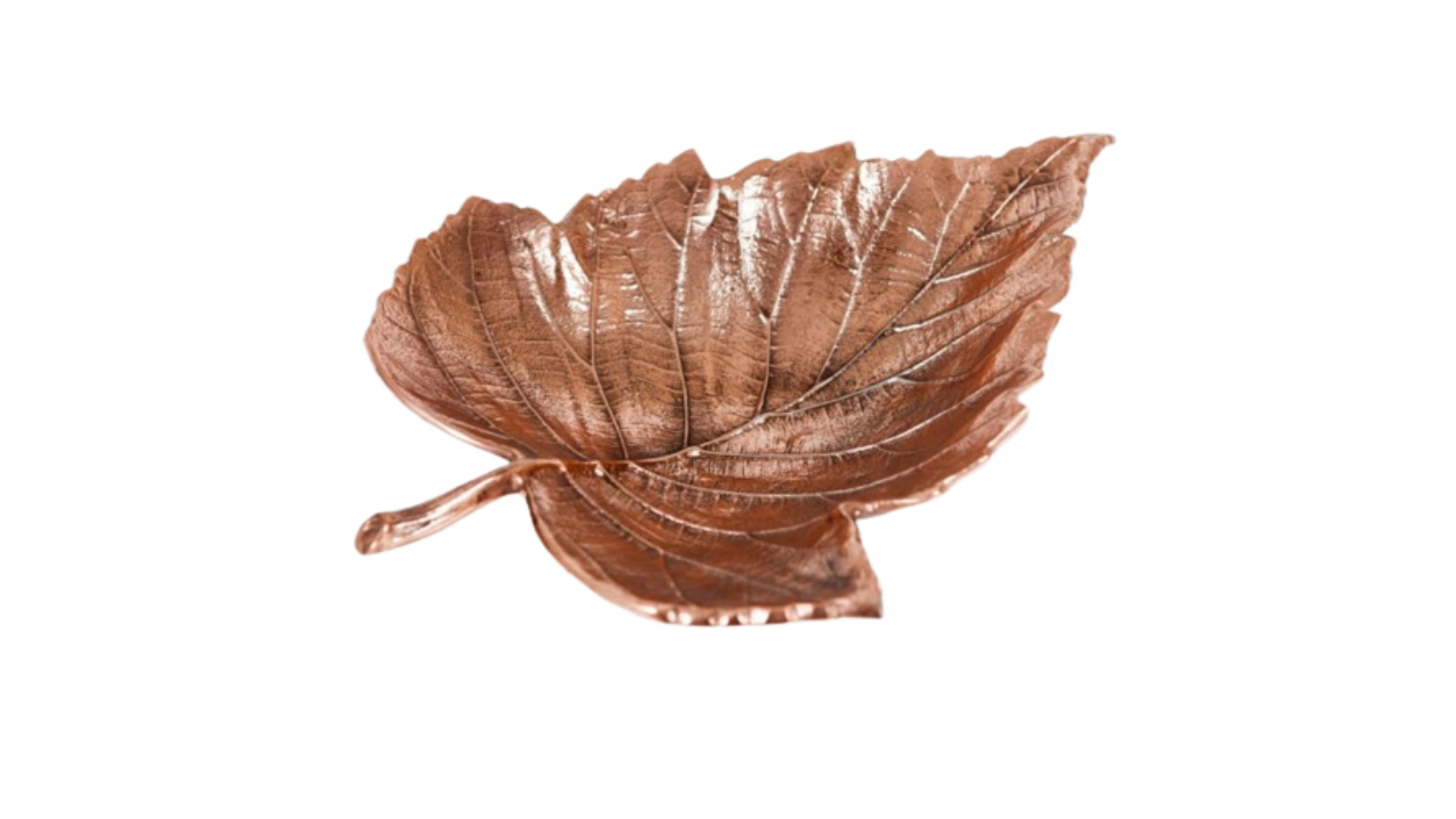 SSH Collection Copper Maple Long Decorative Leaf - 43cm | Harvey Norman