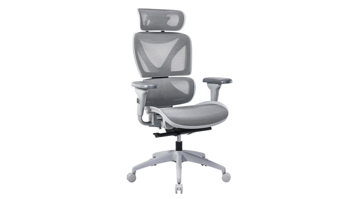 Maestro Furniture Lucia High Back Mesh Ergonomic Office Desk Chair ...