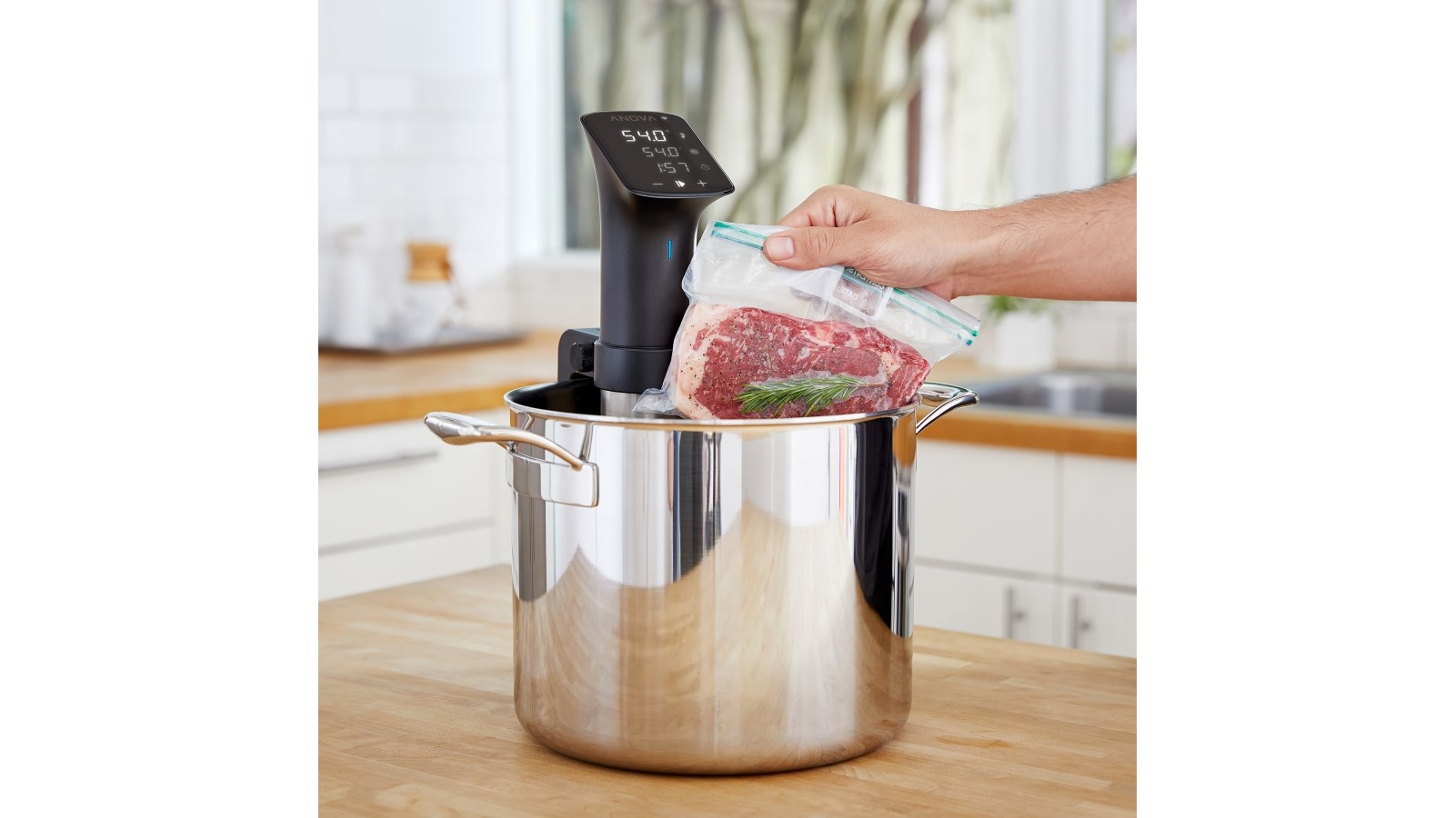 Anova Precision Cooker PRO with WiFi | Harvey Norman