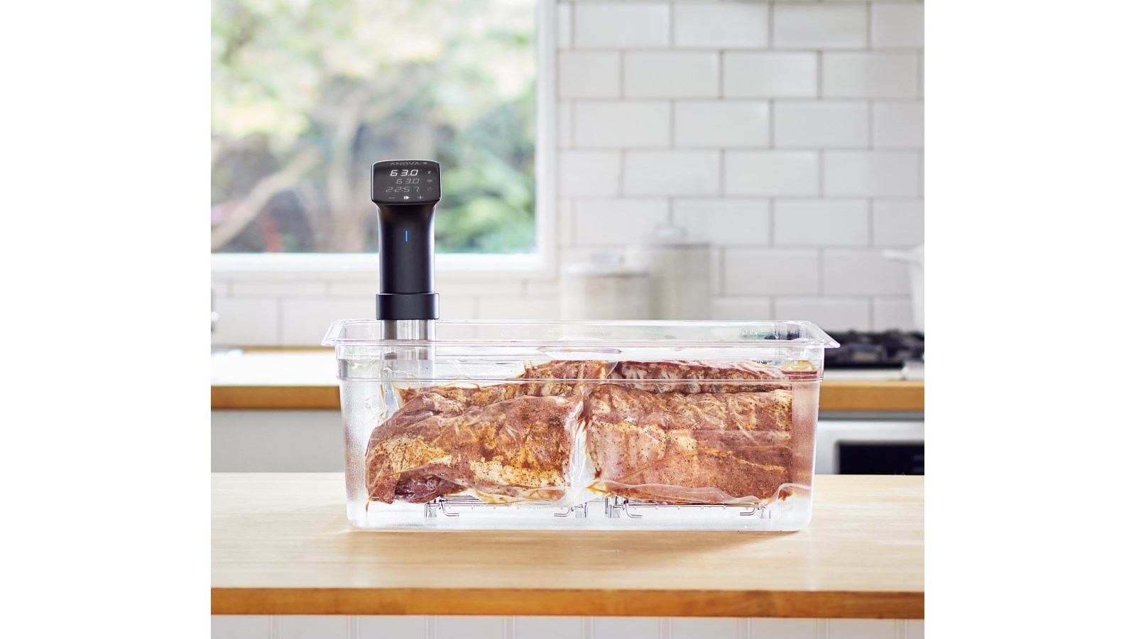 Anova Precision Cooker PRO with WiFi | Harvey Norman
