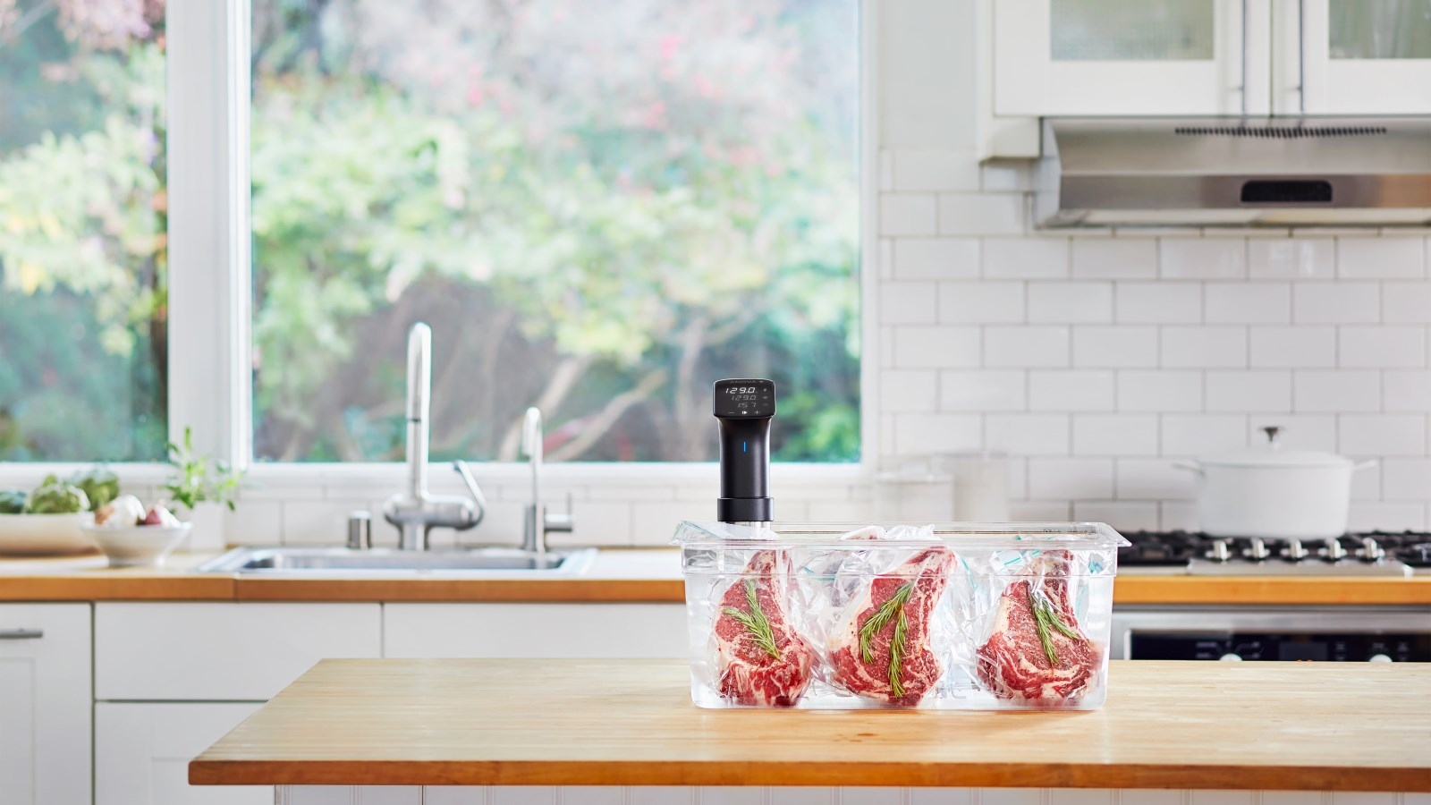 Anova Precision Cooker PRO with WiFi | Harvey Norman