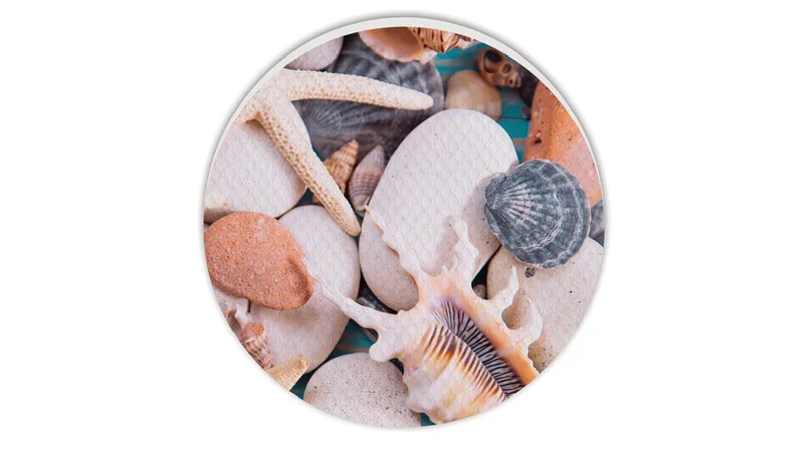Kelly Lane Indigo Shells Pebbles Round Wall Art | Harvey Norman