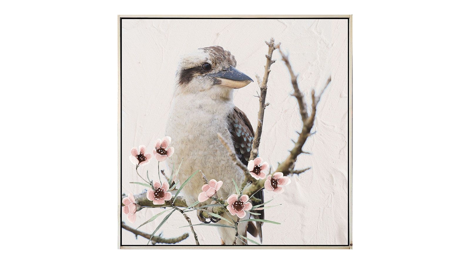Kelly Lane Sage and Thyme Kookaburra Shadow Frame Wall Art | Harvey Norman