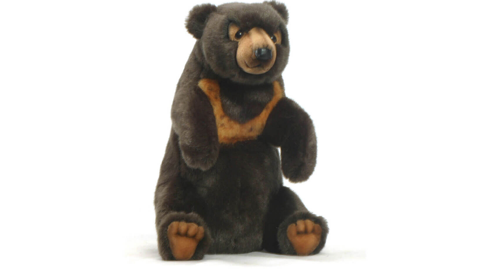 Hansa 23 cm Sitting Sun Bear Plush Toy | Harvey Norman