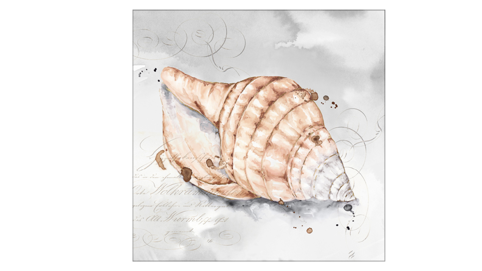 La Grolla Blush Shell I Unframed Canvas Wall Art - 100 x 100cm | Harvey ...
