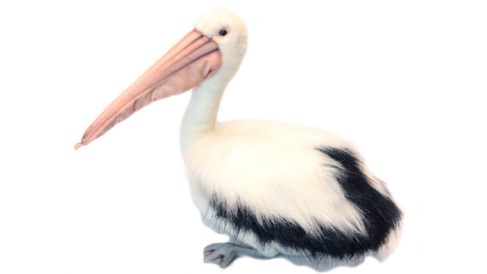 Hansa 40 cm Pelican Plush Toy | Harvey Norman