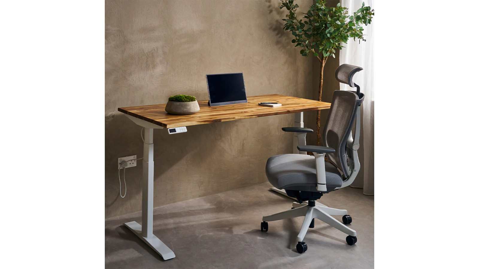 Omnidesk Ascent Sit Stand Desk Extra Large Wildwood Acacia Light with ...