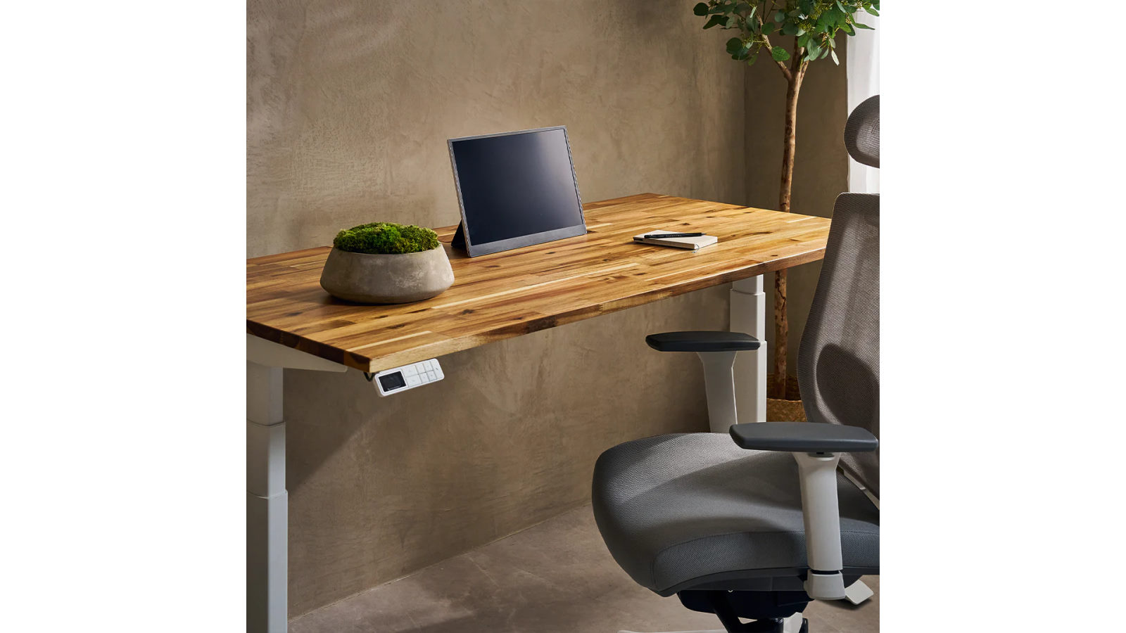 Omnidesk Ascent Sit Stand Desk Extra Large Wildwood Acacia Light with ...