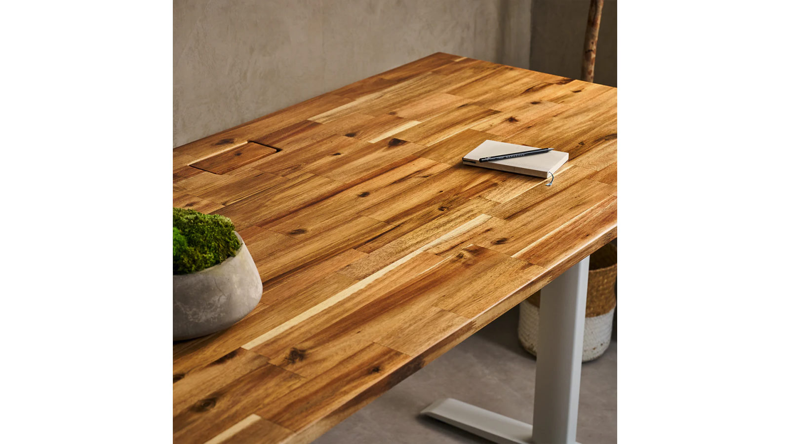 Omnidesk Ascent Sit Stand Desk Extra Large Wildwood Acacia Light with ...