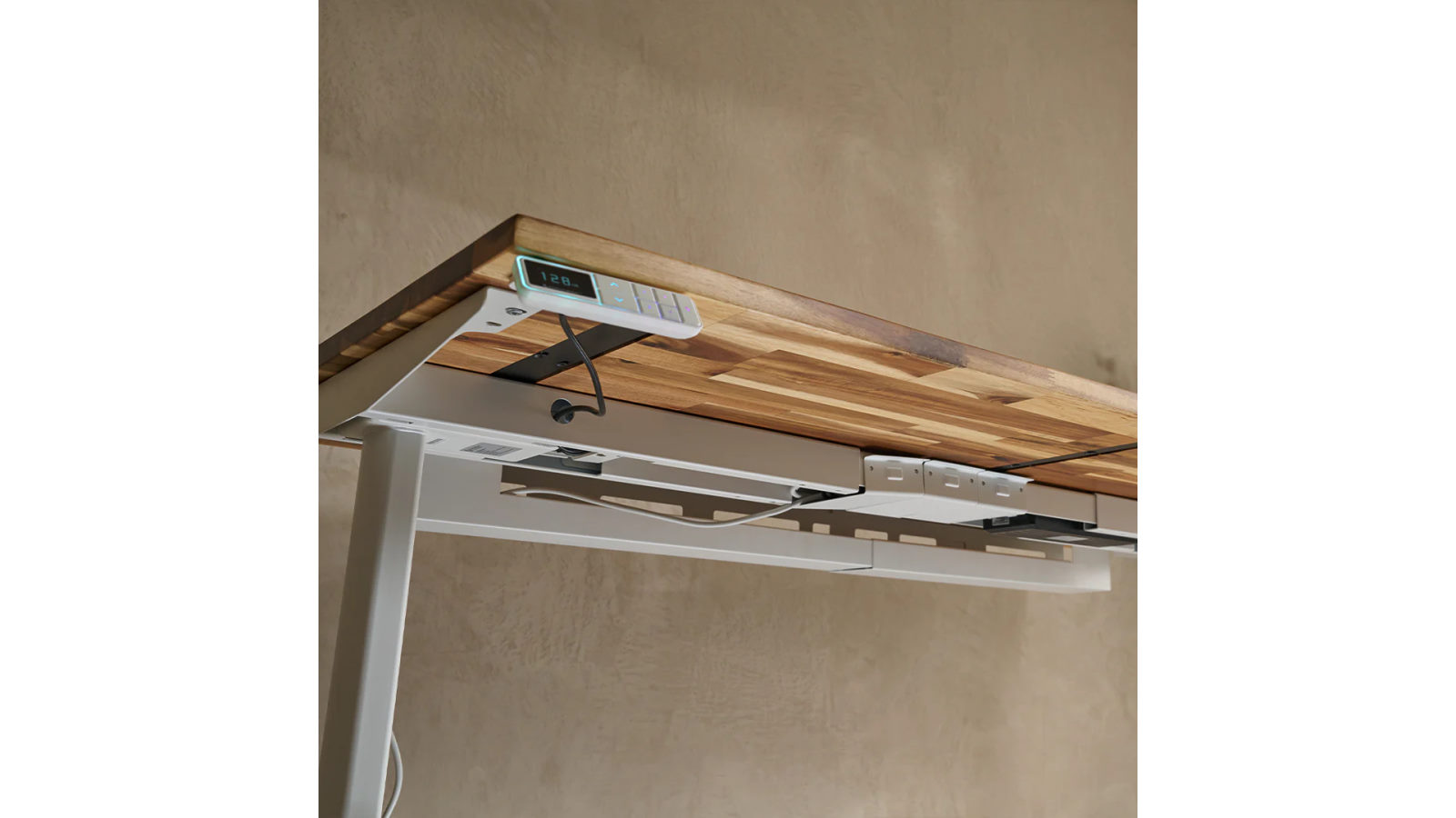 Omnidesk Ascent Sit Stand Desk Extra Large Wildwood Acacia Light with ...