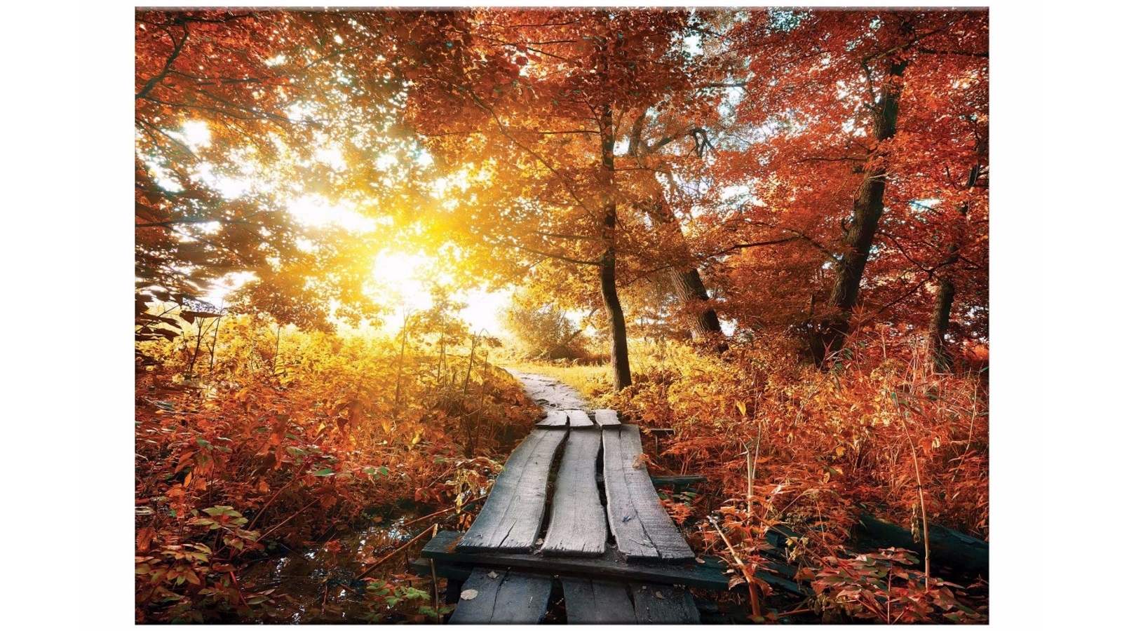 Arte Lab Autumn Sunset 85x65cm Canvas Art | Harvey Norman