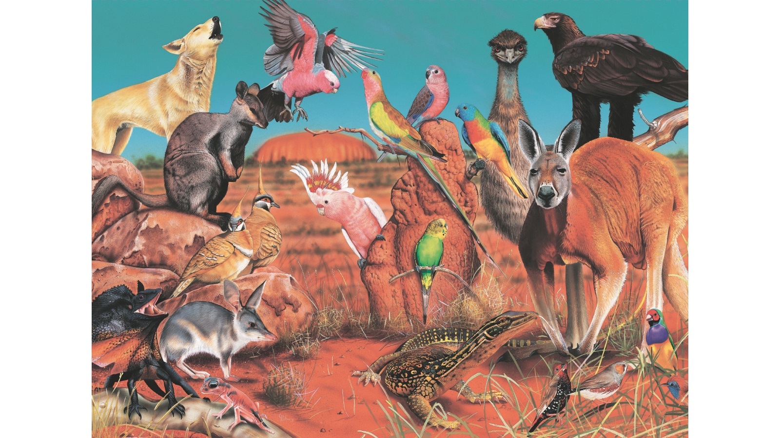Blue Opal 100 Pieces Wild Australia The Outback Puzzle | Harvey Norman