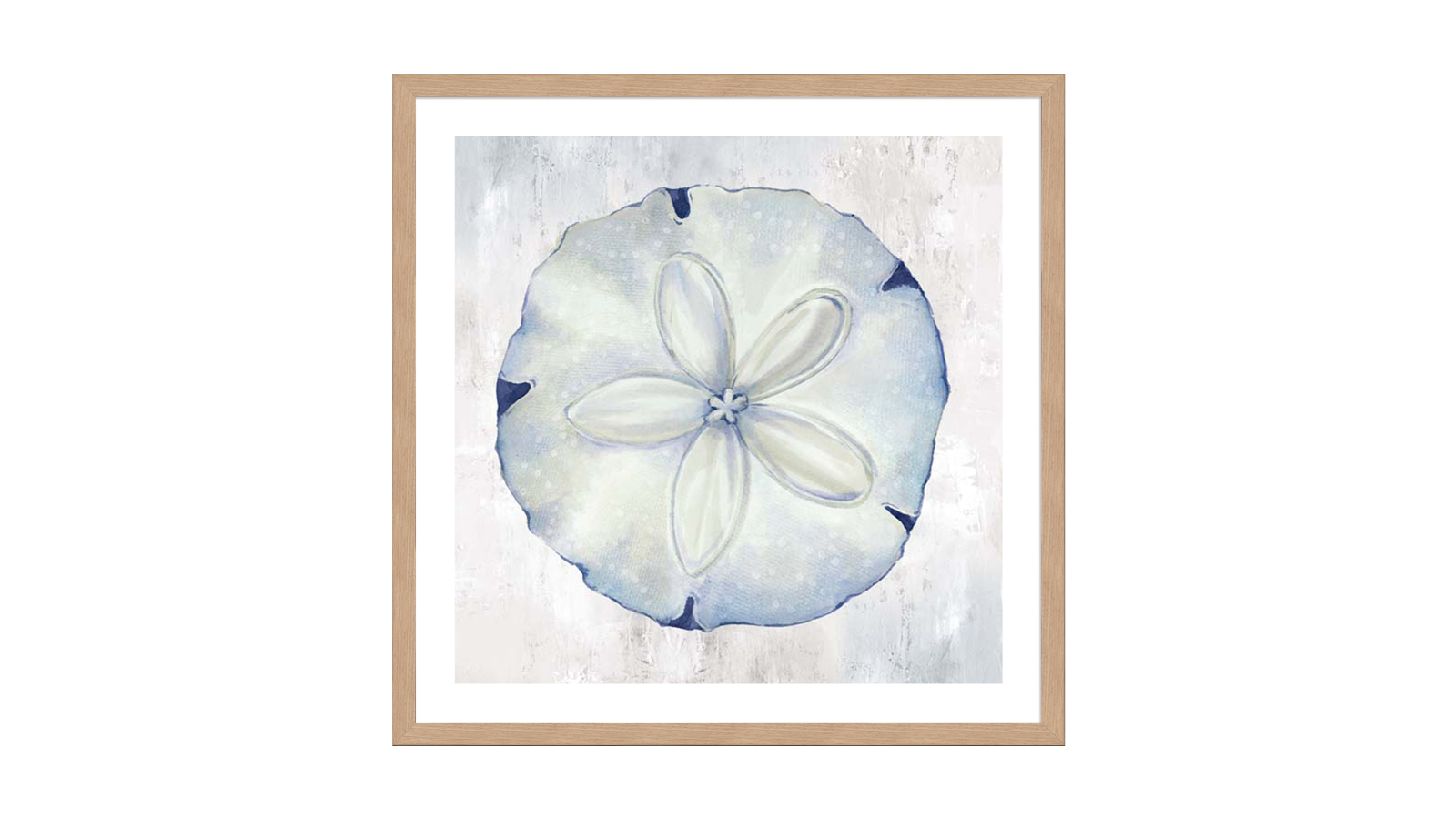 La Grolla Blue Sand Dollar Natural Frame Wall Art - 76 x 76cm | Harvey ...