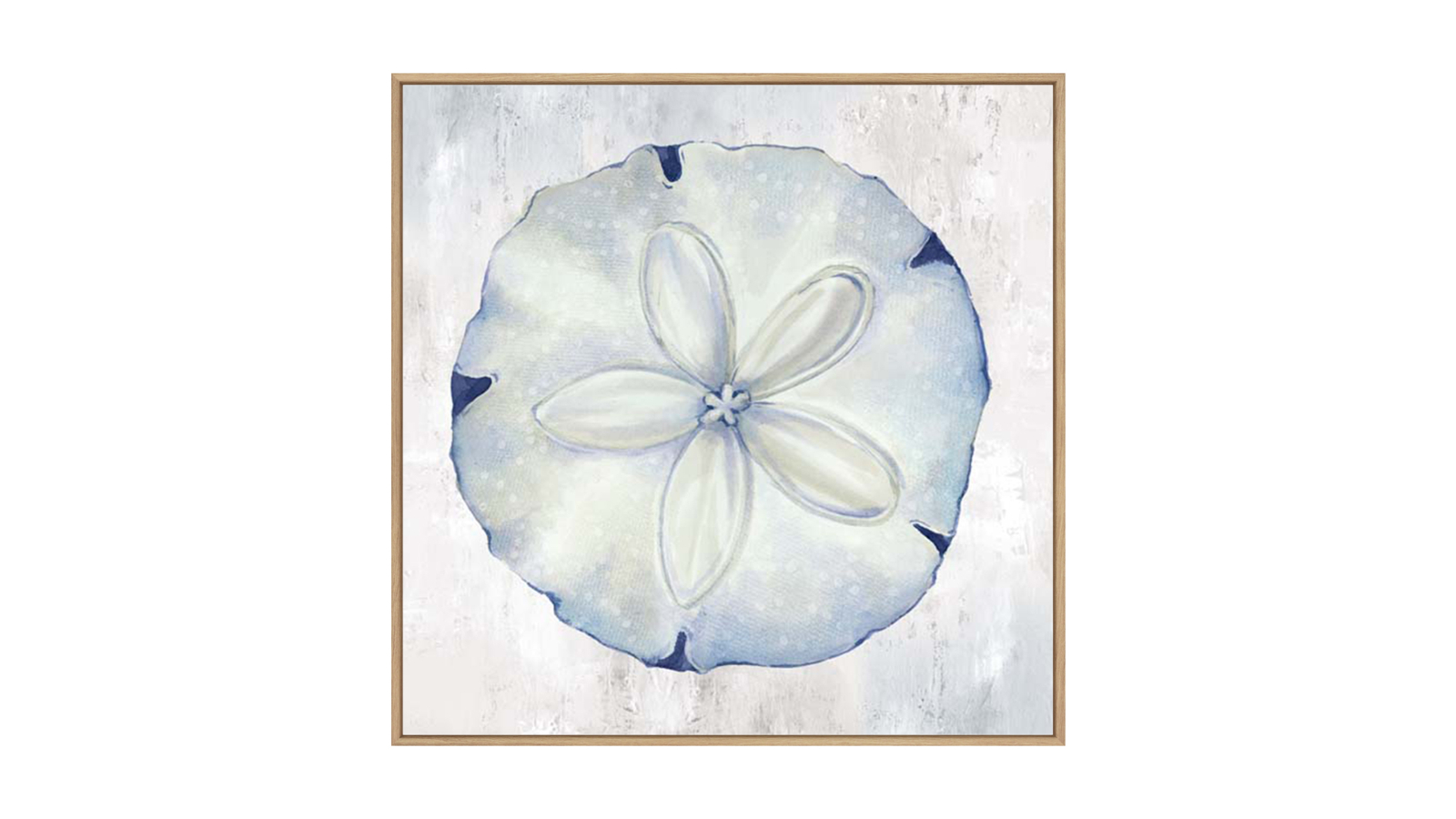 La Grolla Blue Sand Dollar Natural Gallery Wall Art - 67 x 67cm ...