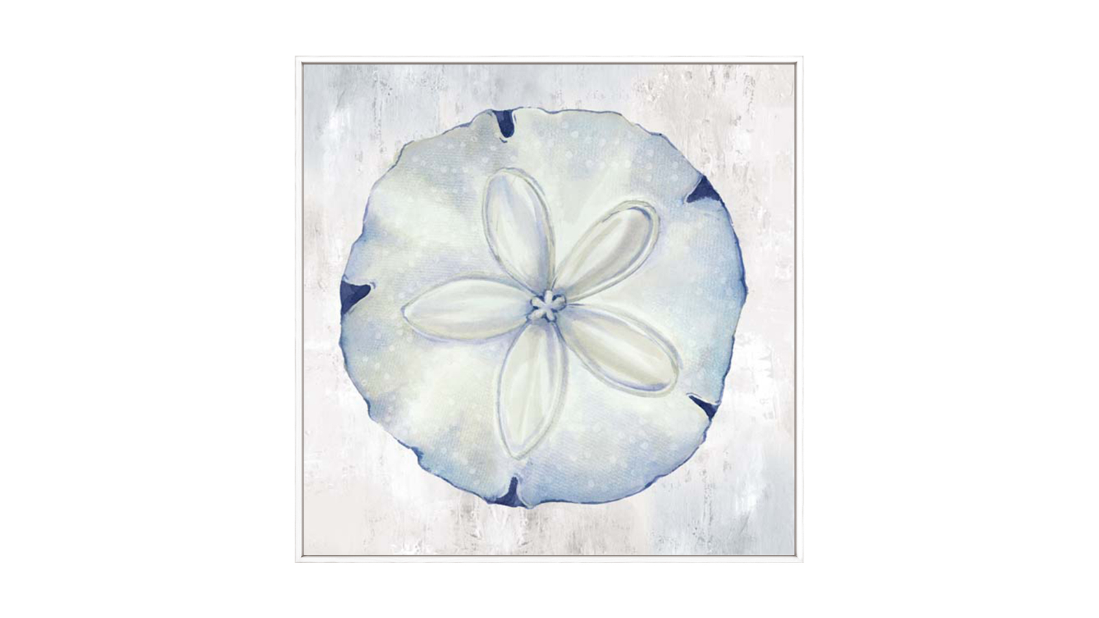 La Grolla Blue Sand Dollar White Gallery Wall Art - 87 x 87cm | Harvey ...