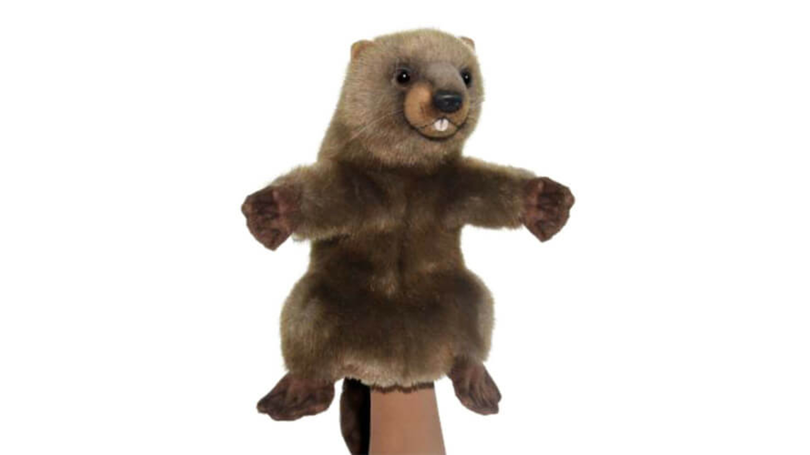 Hansa Beaver Realistic Hand Puppet - 43cm | Harvey Norman
