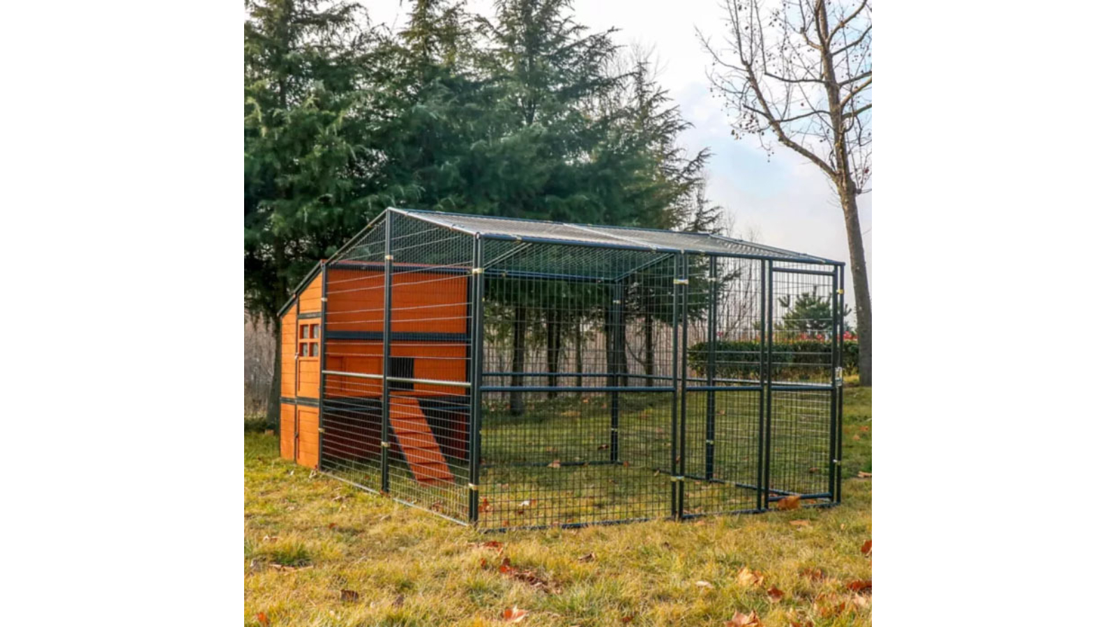Flyline Guardian Pine Chicken Coop Cage with Walk-In Pen Run | Harvey ...