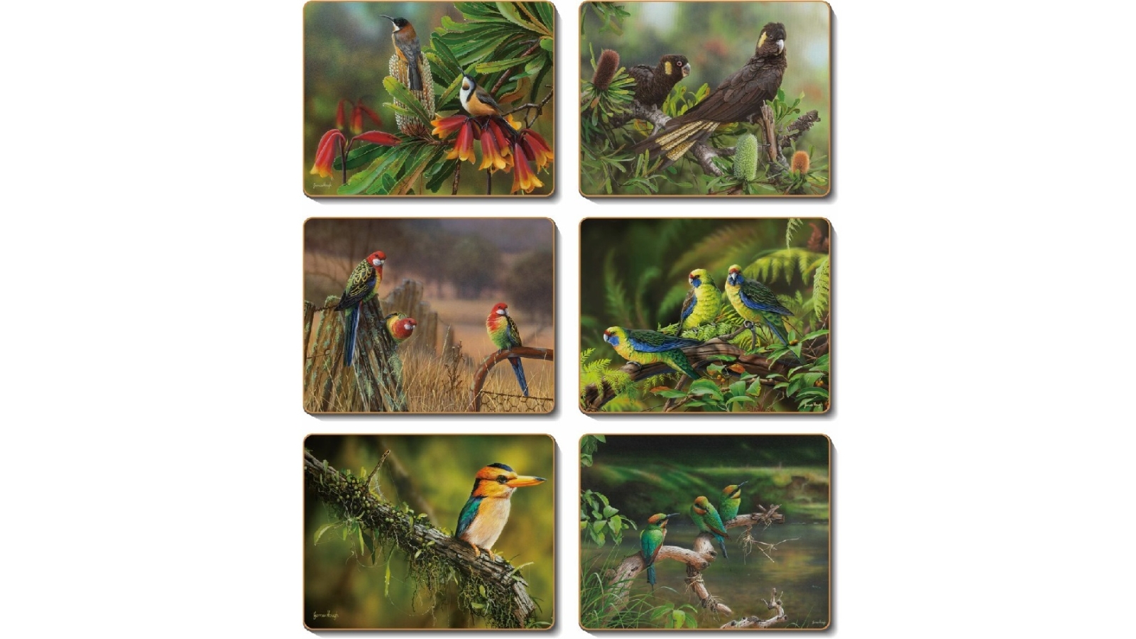 Cinnamon Cork Backed Coasters Set of 6 - Native Heritage | Harvey Norman