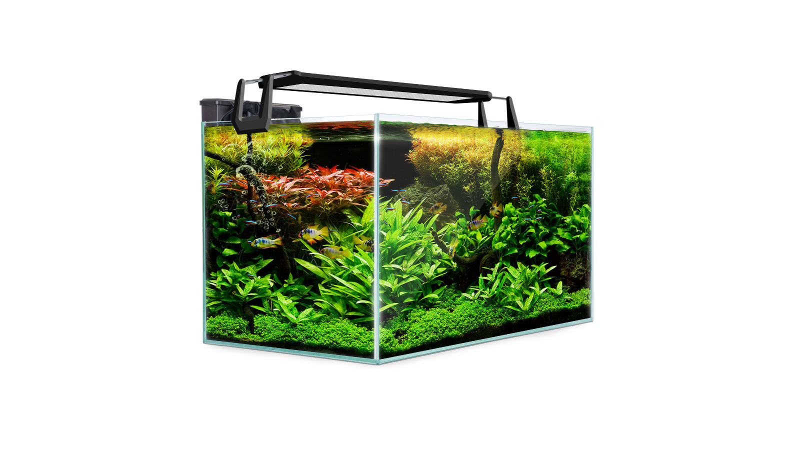 Aquarium Starfire Glass Fish Tank Set Filter Pump | Harvey Norman