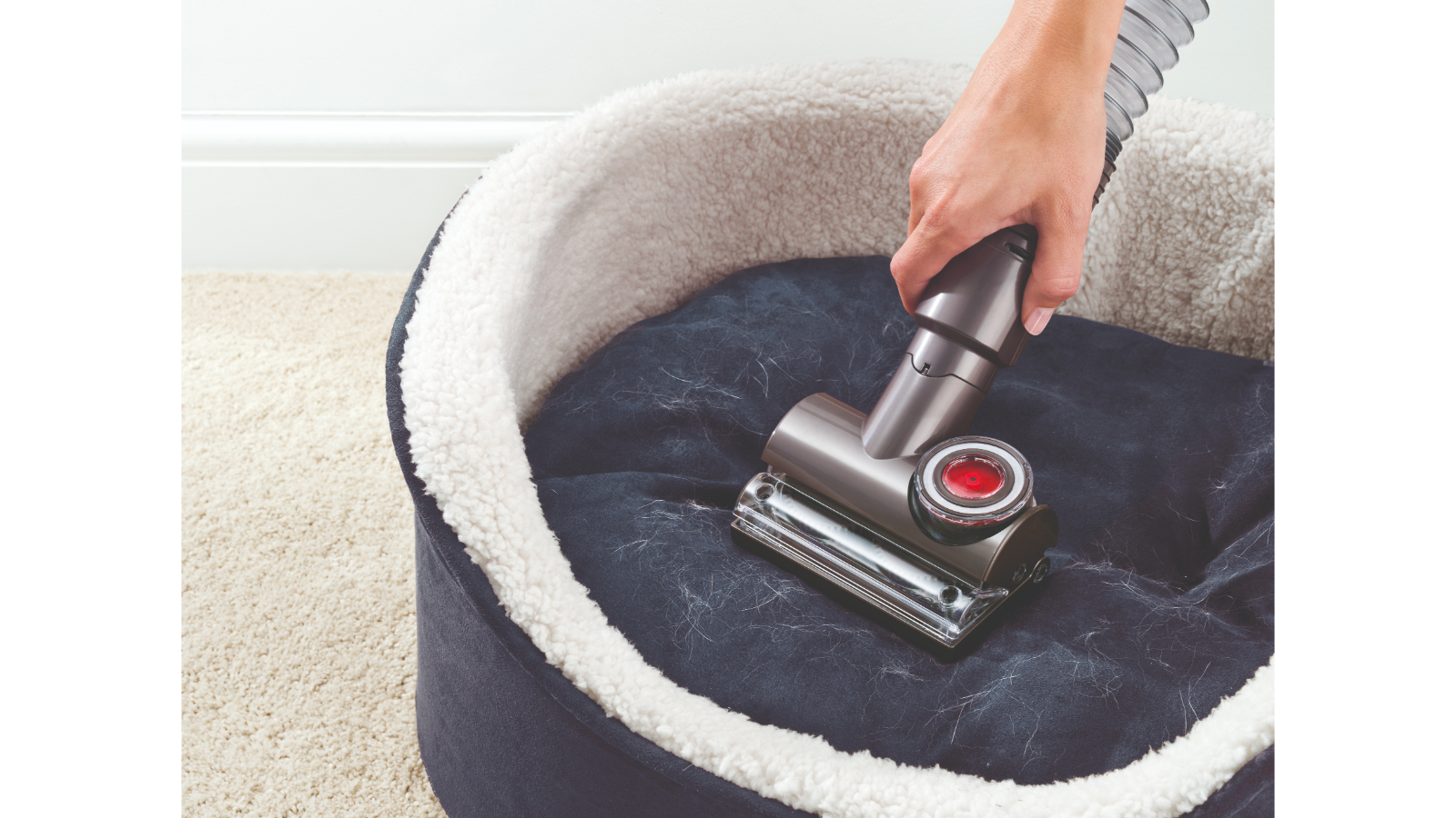 Dyson Big Ball Absolute Barrel Vacuum | Harvey Norman
