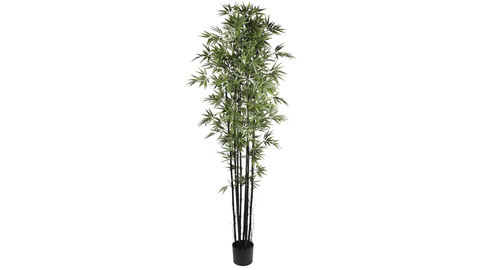 Evergreen Japanese UV Bamboo Plant - 180cm | Harvey Norman