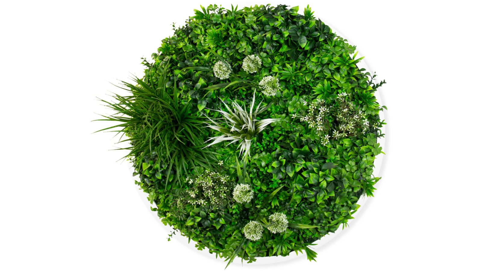 Evergreen Blossom Disc Artificial Plant | Harvey Norman