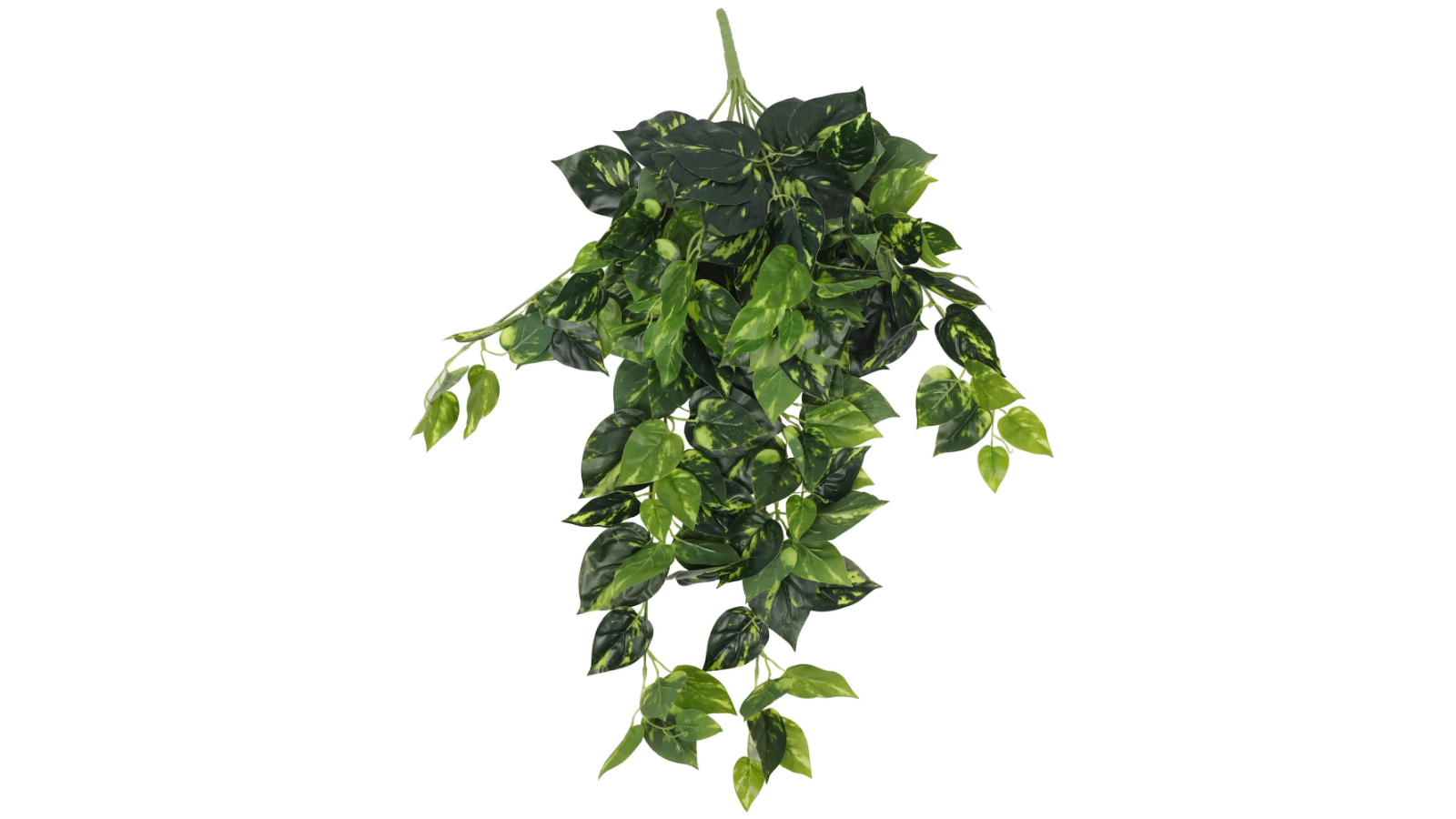 Evergreen Pothos Variegated Hanging Bush Artificial Plant - 80cm ...
