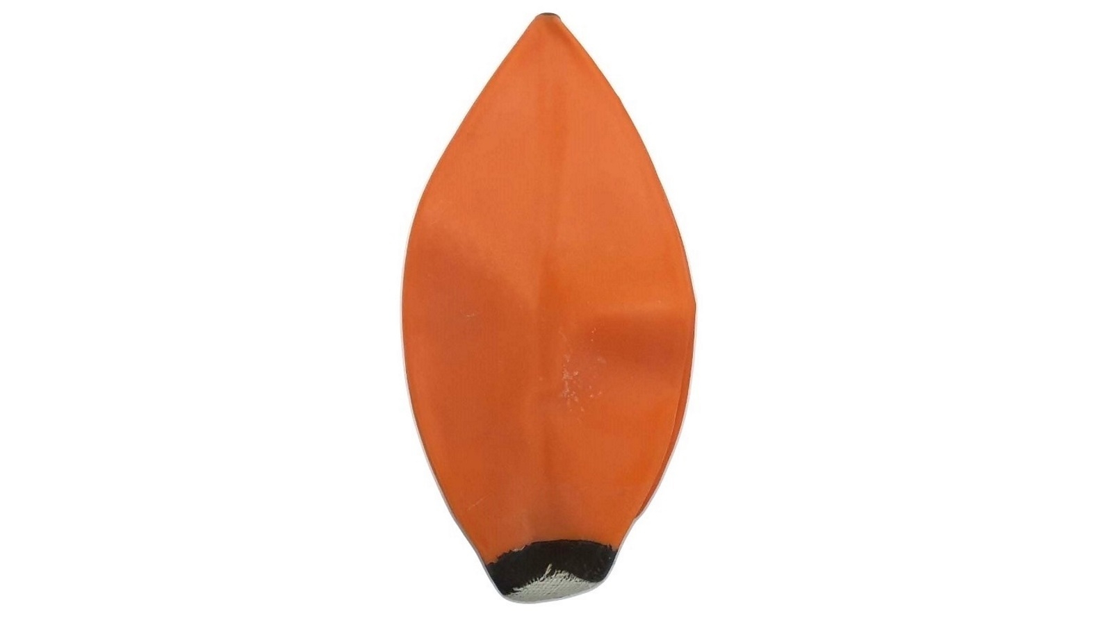 Morgan Sports Round Floor to Ceiling Ball Bladder | Harvey Norman