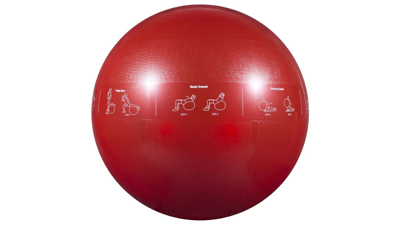 GoFit Pro Guide Ball 65cm Gym Ball | Harvey Norman