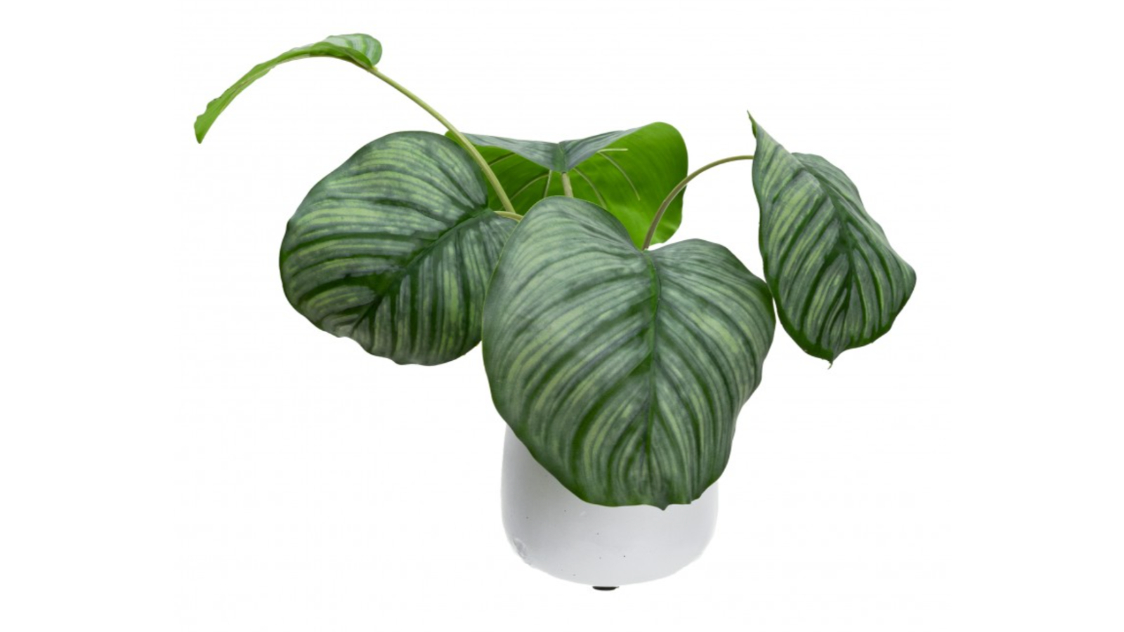 Fusion 30cm Calathea Bush in Ceramic Pot Artificial Plant Flower ...