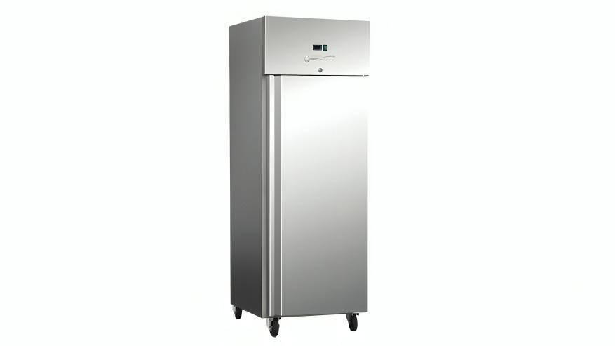 Greenline Single Door SS Upright Fridge - 600L | Harvey Norman