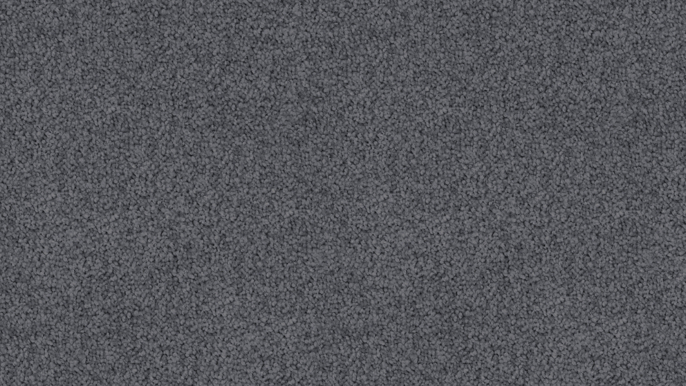 Stain Defence Platinum Pure Delight Carpet - Temple Grey | Harvey Norman