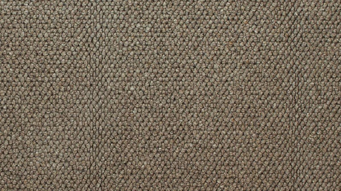Naturally Smart Cedar Bluff Carpet - Woodcliff | Harvey Norman