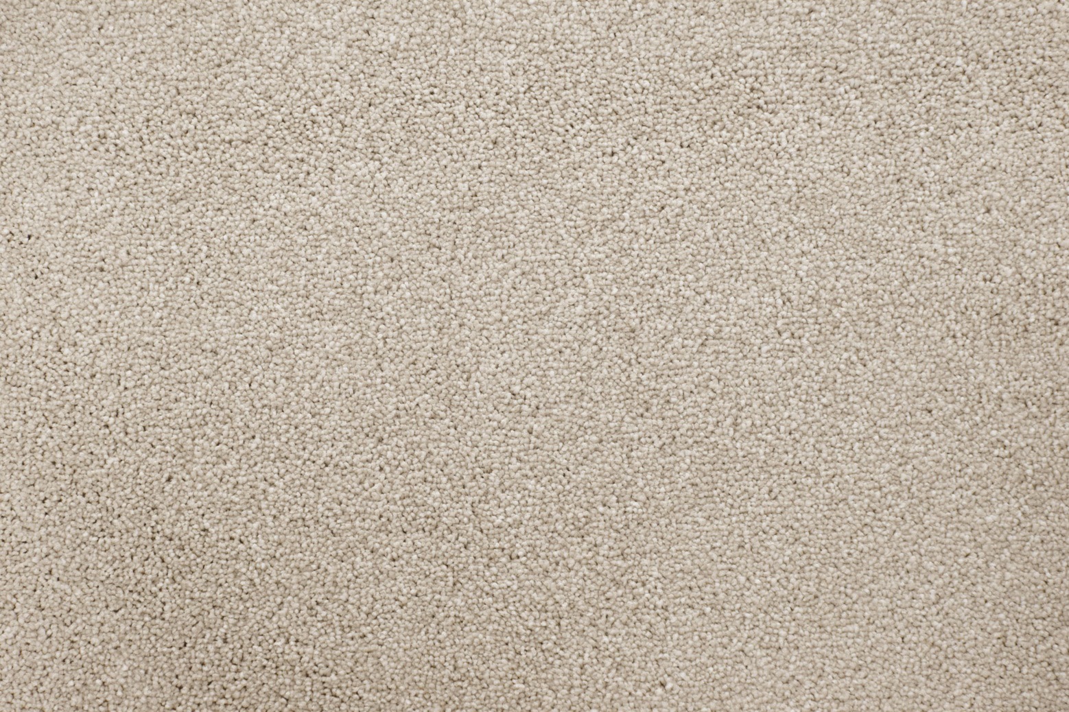 Lifestyle Ashton Carpet - New Moon | Harvey Norman