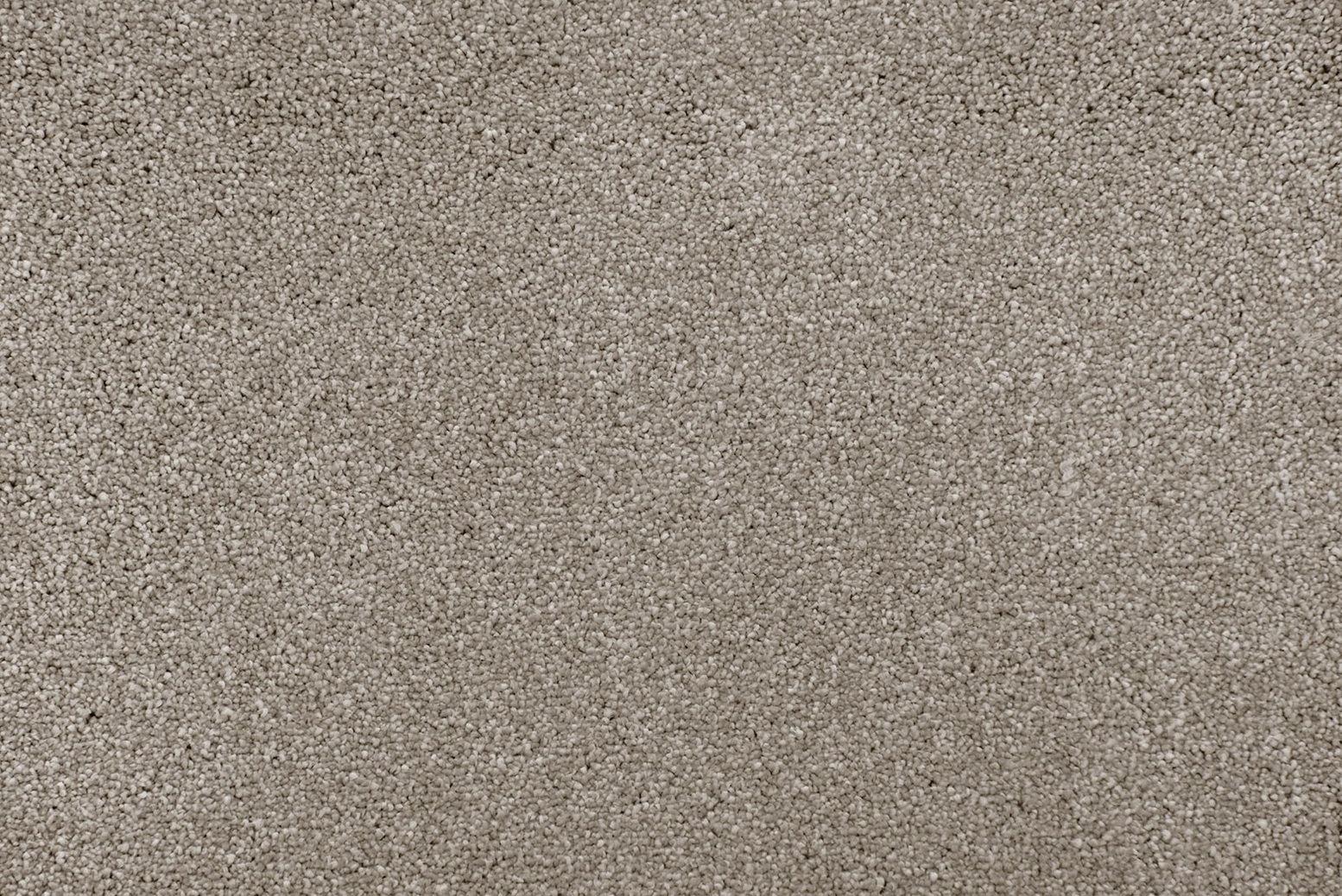 Lifestyle Helka Carpet - Divinity | Harvey Norman