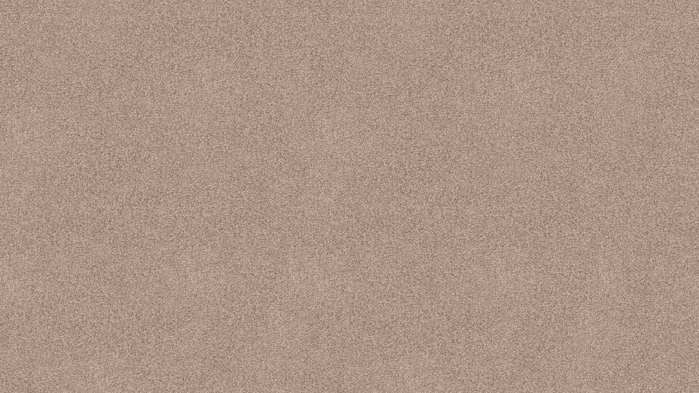 Stain Defence Platinum Pure Delight Carpet - Hazel | Harvey Norman