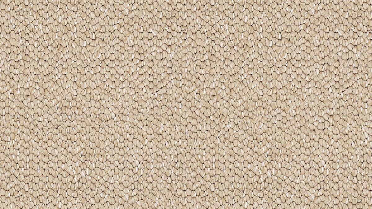Stain Defence Lifestyle Modern Elegance Carpet - Essence | Harvey Norman